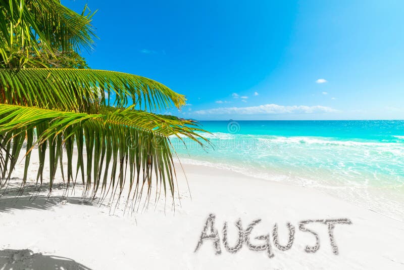 August Written on the Sand in a Tropical Beach with a Palm Tree Stock ...