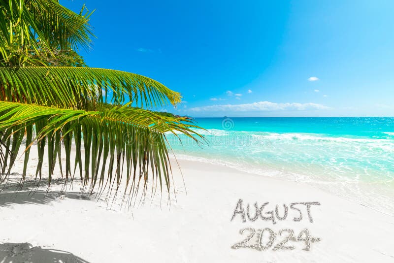 August 2024 Written on the Sand in a Tropical Beach with a Palm Tree ...