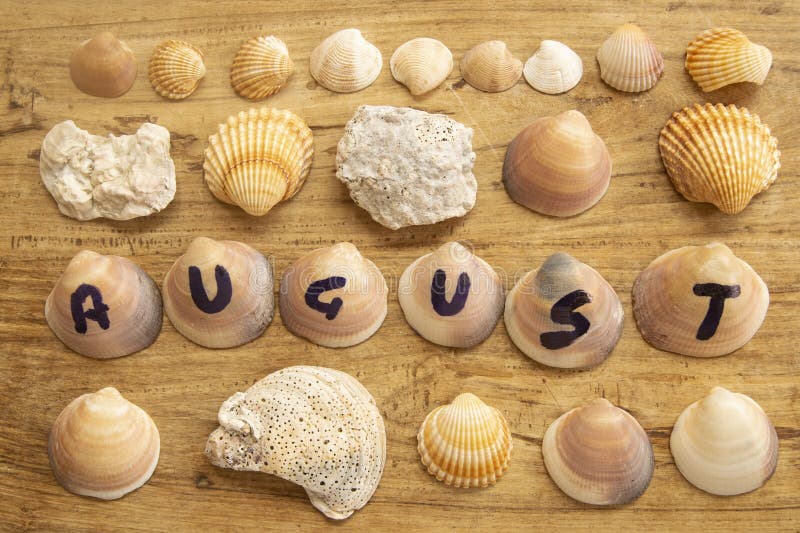 August Written on the Seashells Stock Image - Image of handwriting ...