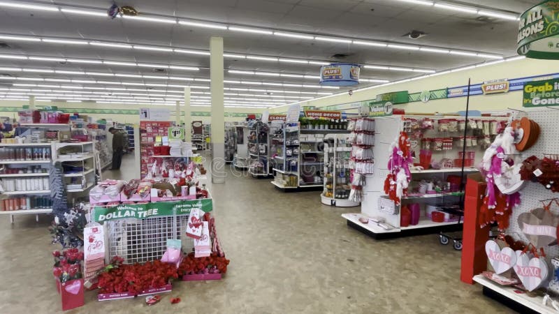 Dollar Tree Retail Store Interior Staffing Issues Customer in Distance ...
