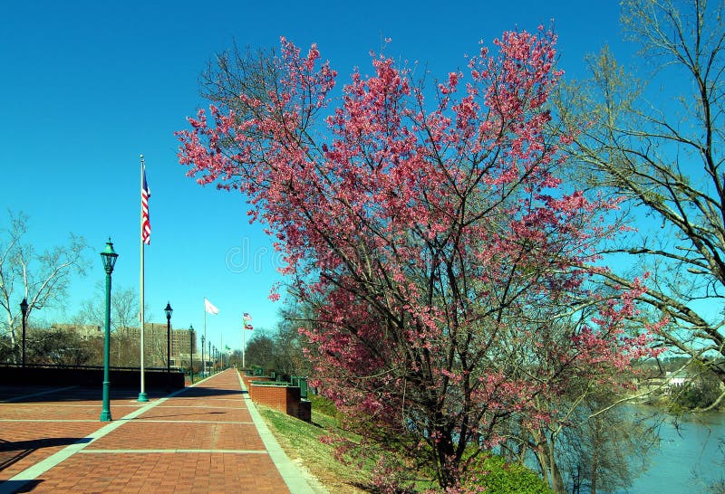 Augusta River Walk stock image. Image of natural, nature - 39480523