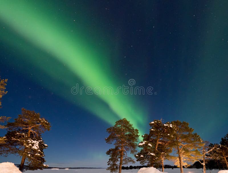 Aurora Borealis and Trees by Lake Inari in Northern Finland Stock Image ...