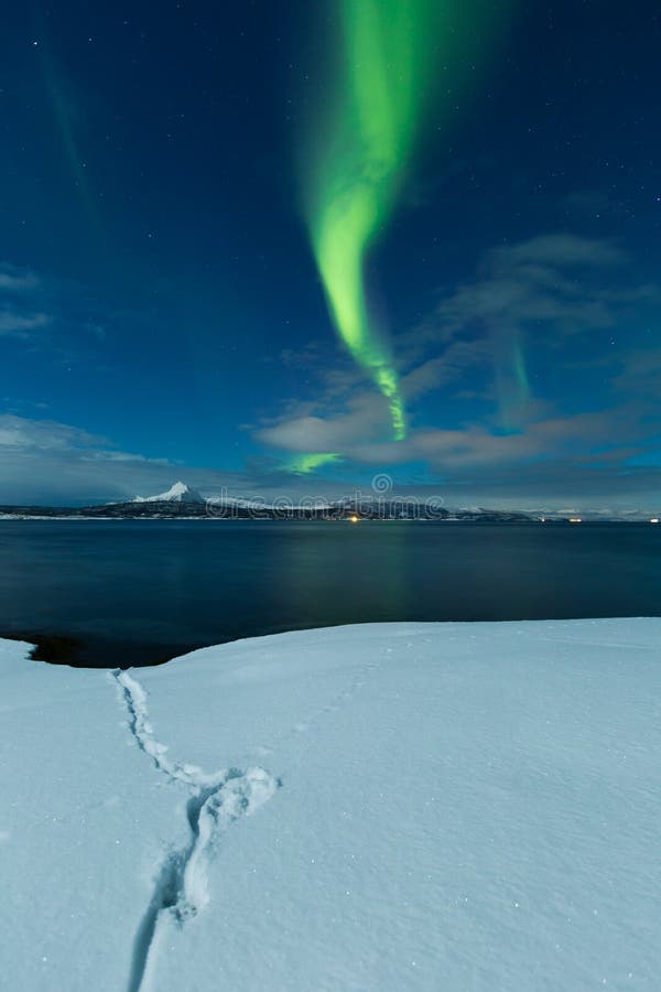 Aurora portrait landscape stock image. Image of cold - 66151245