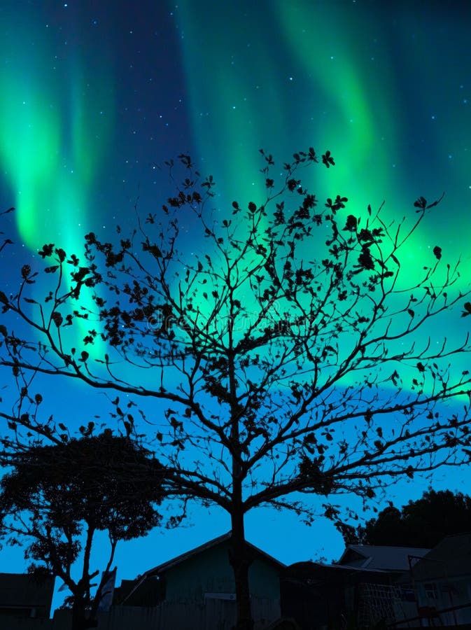Aurora Sky Night Tree Light Darkness Blue Green Stock Photo - Image of ...