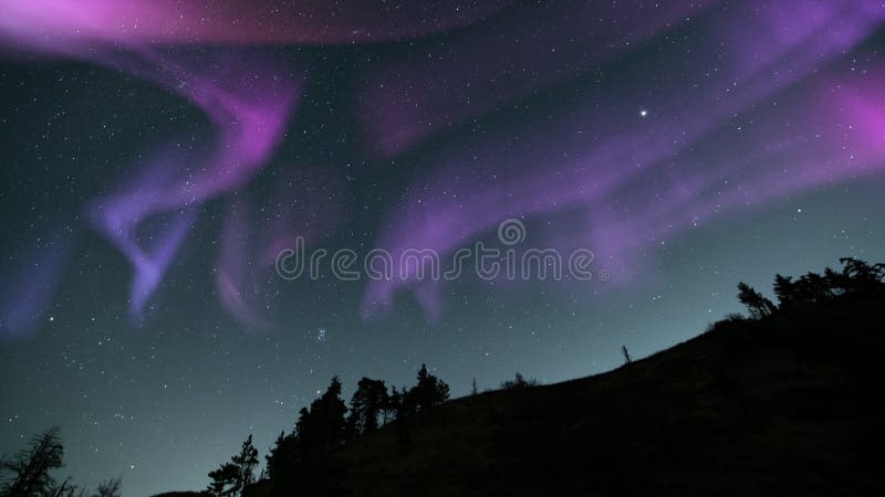 Aurora and Starry Sky Night Euphoria Above Mountain Forest Loop Stock ...