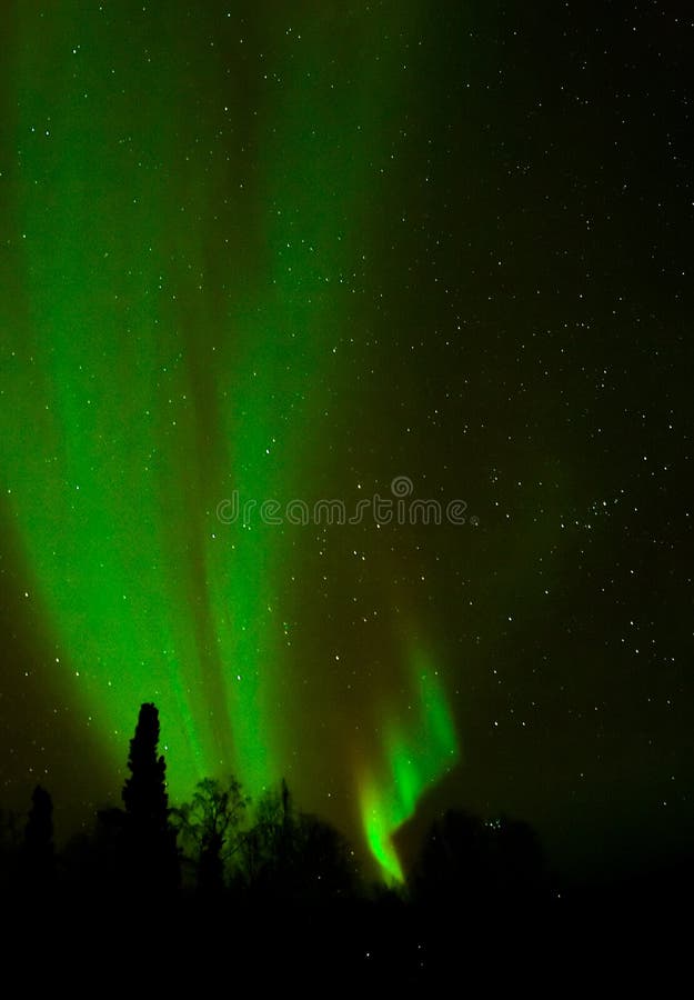 Aurora - Tall Soft Ribbons stock photo. Image of borealis - 4075394