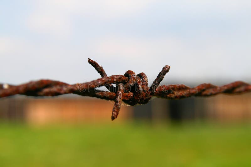 492 Wired Fence Gate Stock Photos - Free & Royalty-Free Stock Photos ...