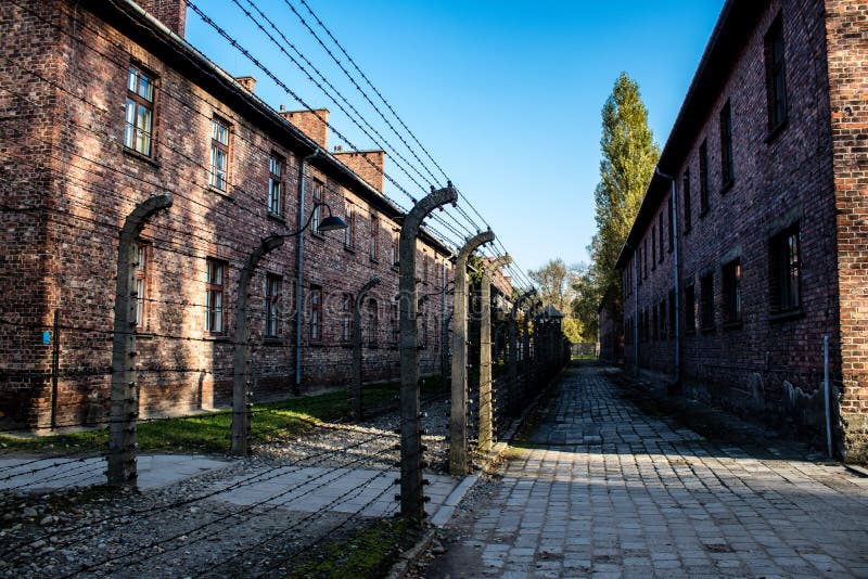 Auschwitz, the Largest Concentration Camp Complex in the Third Reich ...