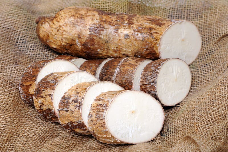 Ausschnitt und Manioka stockbild. Bild von manioka, ausschnitt - 30565005