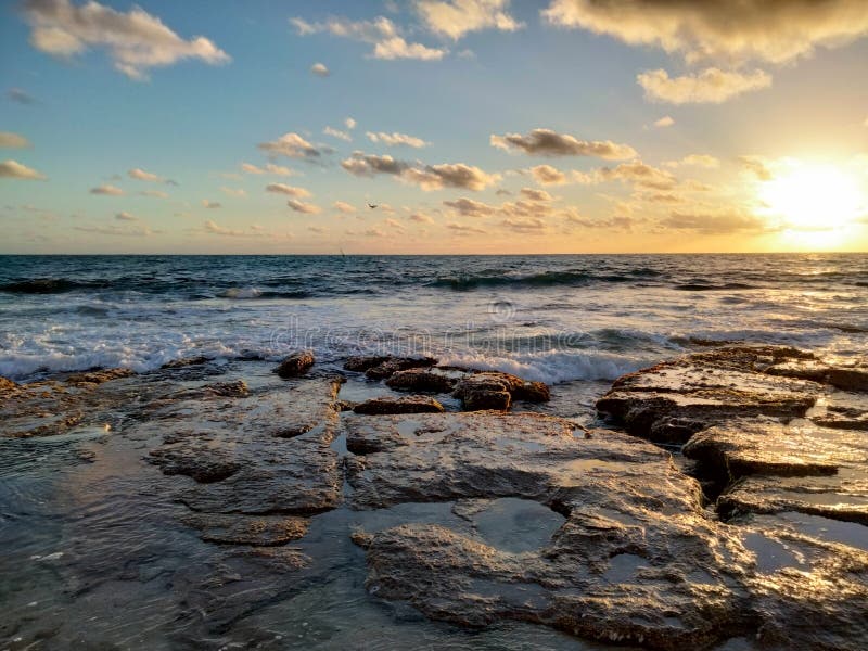 Beautiful Aussie Beach, Sunset Stock Image - Image of wave, rock: 242606373