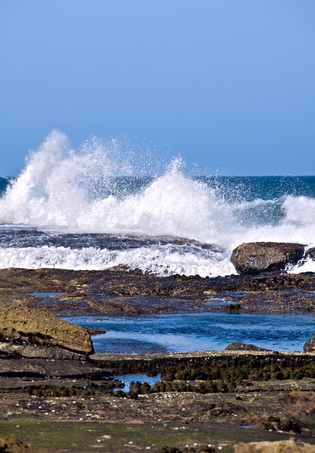 Aussie rockpools stock photo. Image of environment, beauty - 14545926