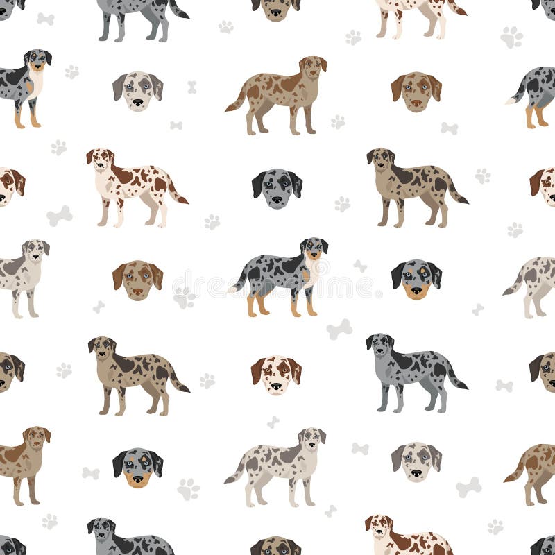 Australian Shepherd Dog Seamless Pattern. Different Variations of Coat ...