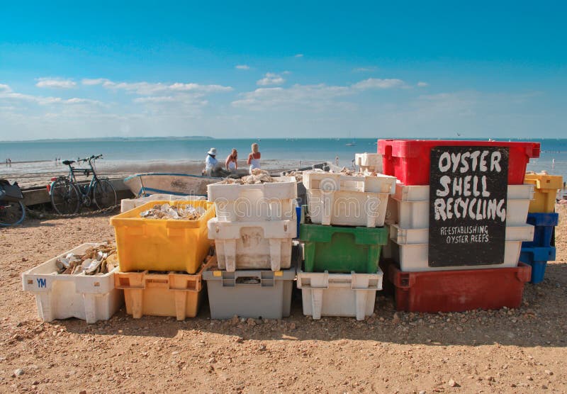 Auster, Die in Whitstable Aufbereitet Redaktionelles Foto - Bild von ...