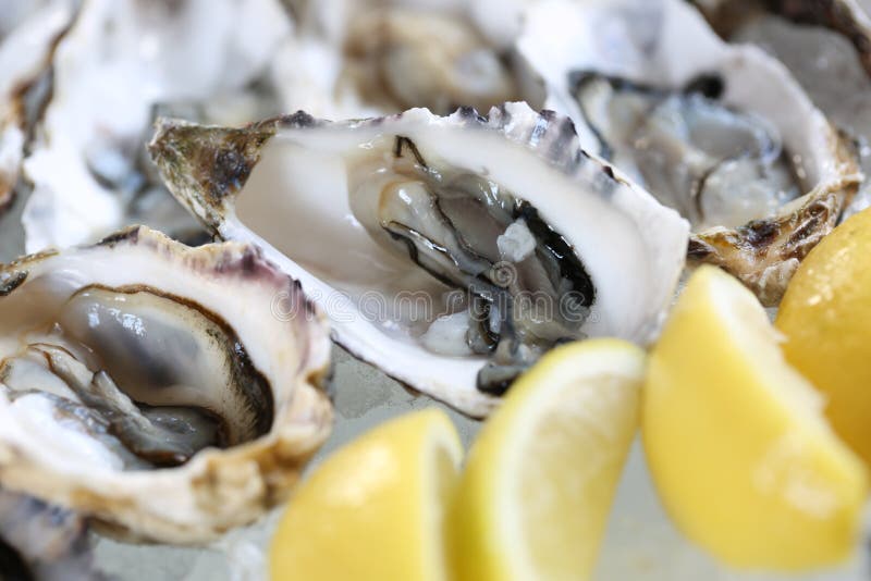 Ver2exe - Photographer profile