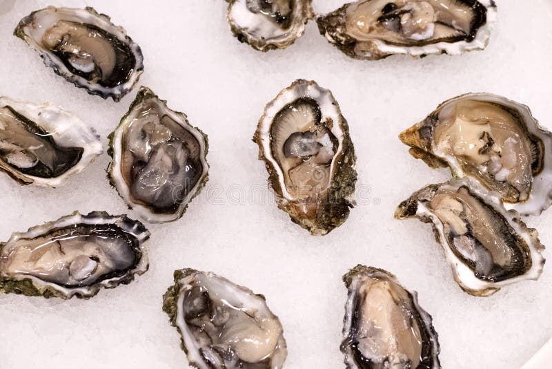 Die Welt ist Ihre Auster stockbild. Bild von nachricht - 119901309