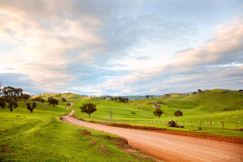 Australia stock image. Image of dirt, glow, grass, countryside - 82384123