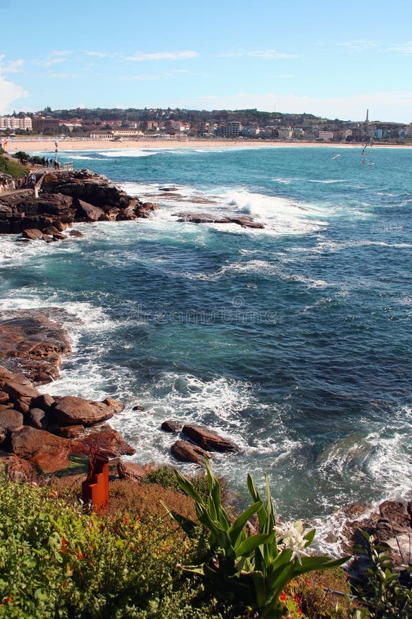 Australia Bondi Beach stock photo. Image of travel, bondi - 4163480