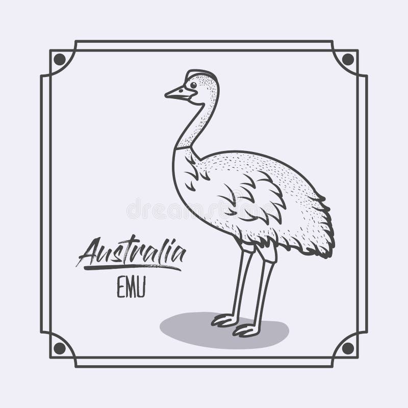Emu Legs Stock Illustrations – 156 Emu Legs Stock Illustrations ...