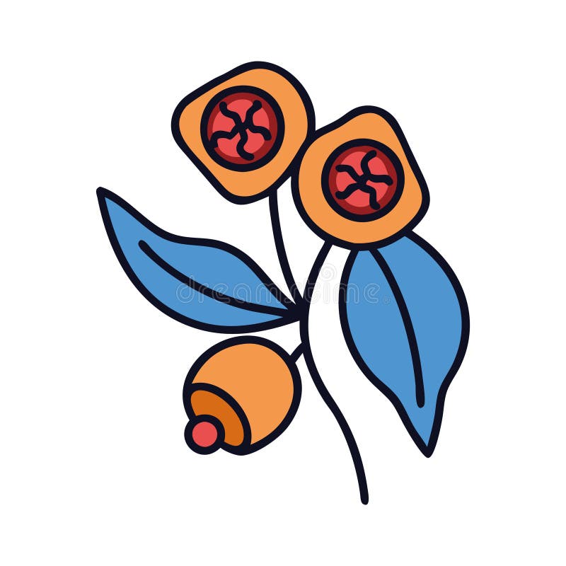 Australia Eucalyptus Leaves Stock Vector - Illustration of vector ...