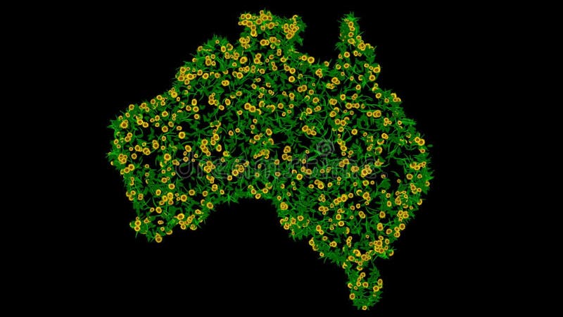 Australia Map with Yellow Daisy Flowers and Green Leaves on Plain Black ...