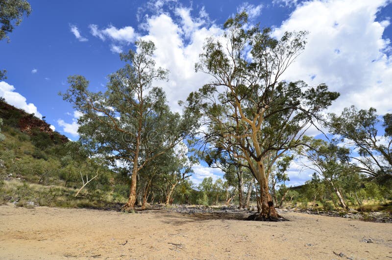Australia, Northern Territory, Outback Stock Photo - Image of climate ...