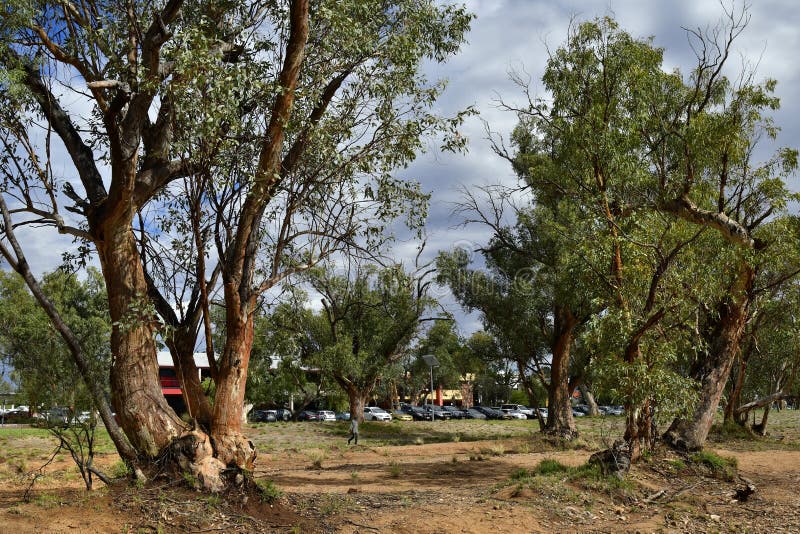 Dry Todd River stock image. Image of mountain, drought - 7015005