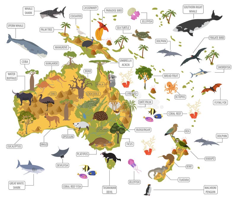 Australia Elements Stock Illustrations – 8,989 Australia Elements Stock ...