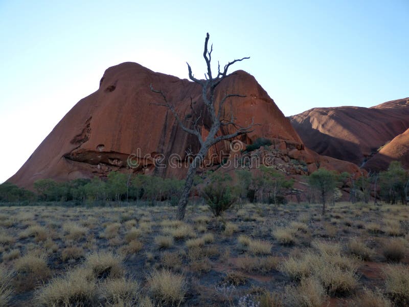 Australia, outback, Uluru editorial image. Image of aborigines - 100741850