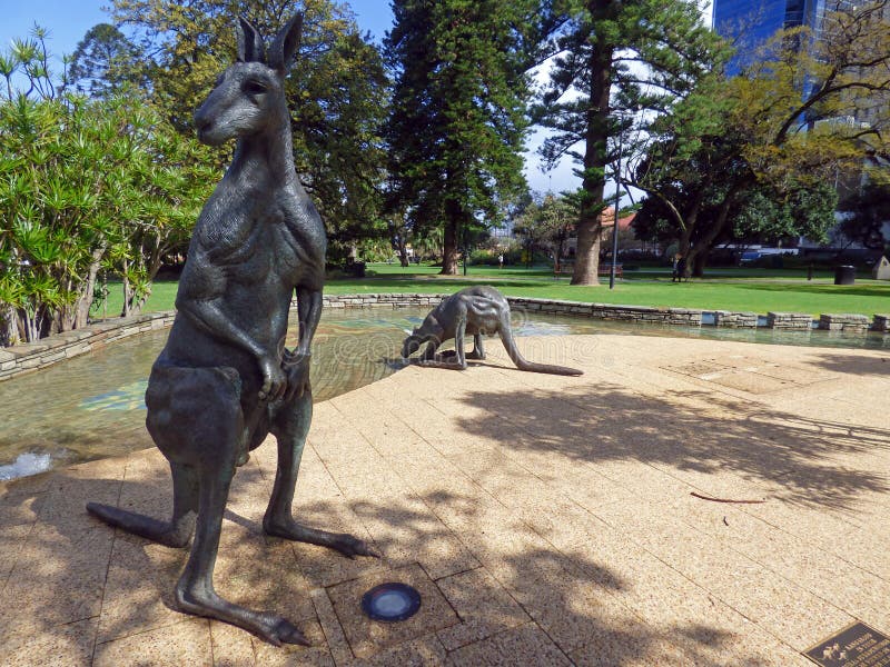 Kangaroos in the City editorial photo. Image of gardens - 190918271