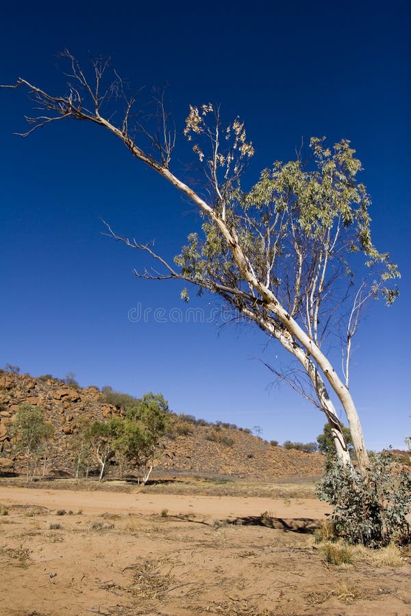Australia Red Centre stock photo. Image of centre, springs - 11397272