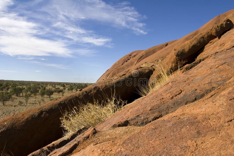 Australia Red Centre 2 editorial image. Image of tree - 11397685
