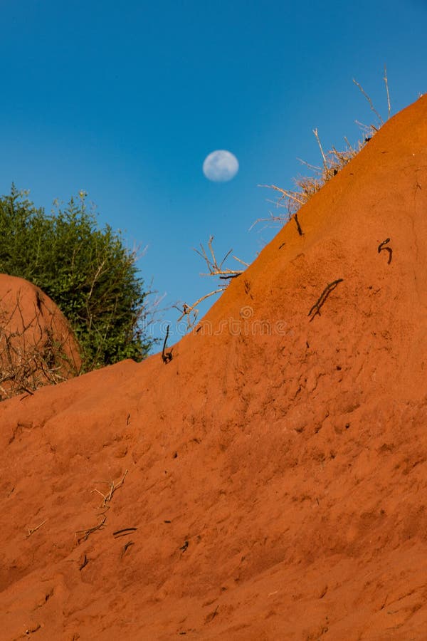 Australia Red Soil Detail Close Up Stock Photo - Image of ancient ...