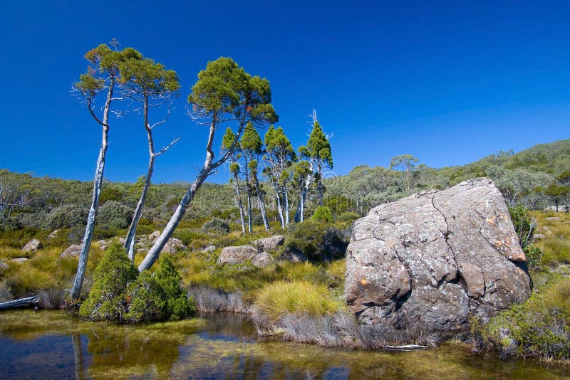 Australian Alpine Plateau stock image. Image of field - 2613935