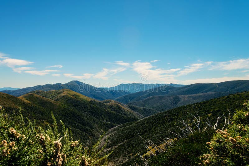 Australian Alps stock photo. Image of snowy, green, mountain - 102109760