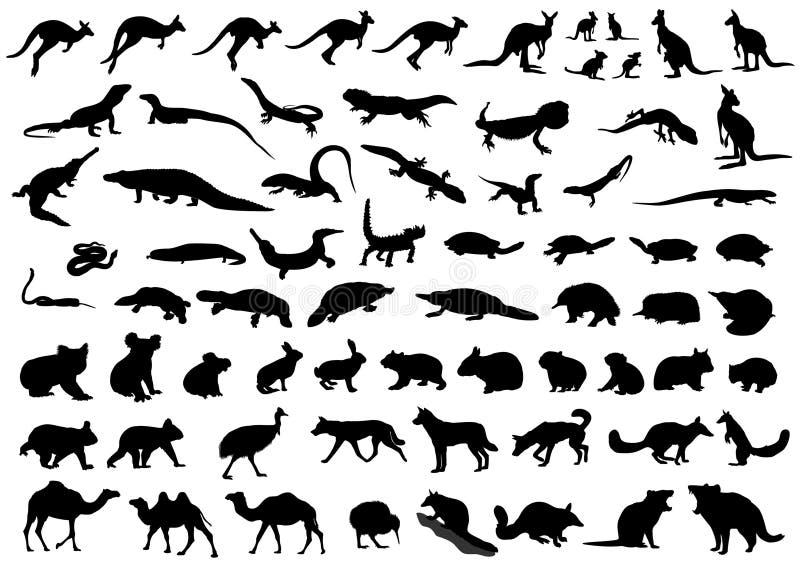Australian Animals. Set of Animal Silhouettes Stock Vector ...