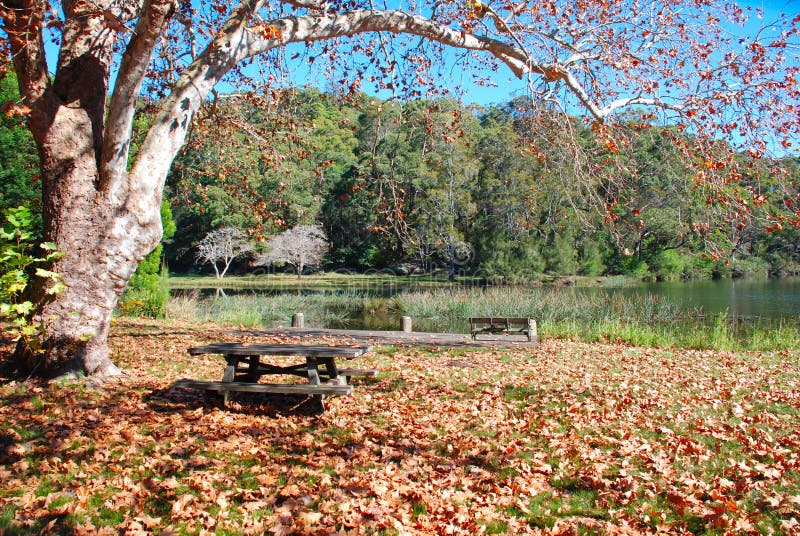 Australian Autumn stock image. Image of river, sydney - 14355197