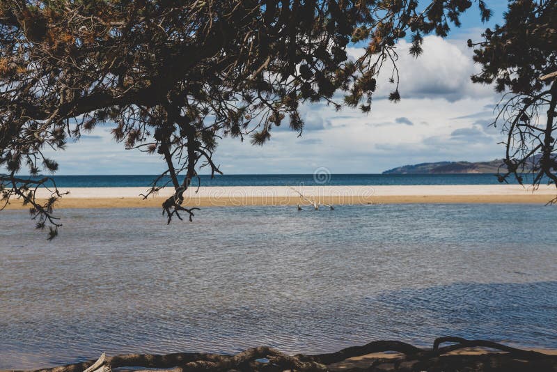 Australian Beach Landscape with Tree Branches in the Foreground Stock ...