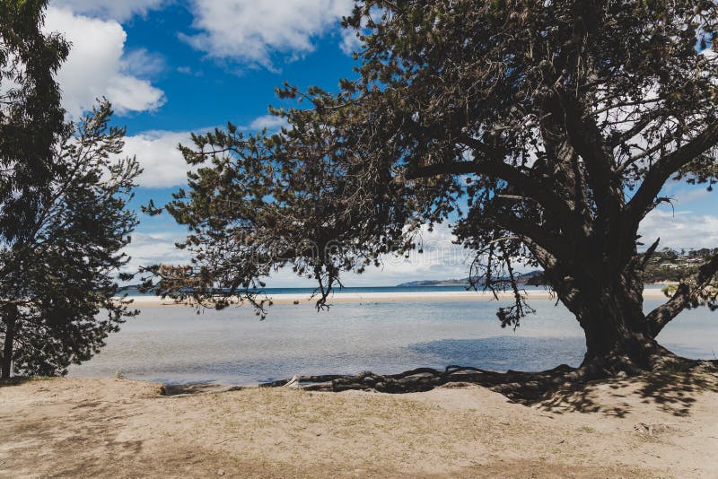 Australian Beach Landscape with Tree Branches in the Foreground Stock ...