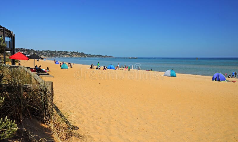 The Australian beach. stock photo. Image of life, light - 65788804