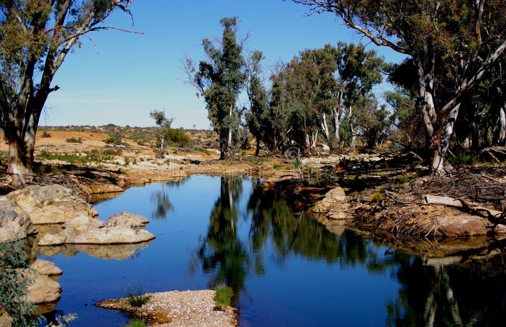 Australian Billabong stock image. Image of river, back - 10545391