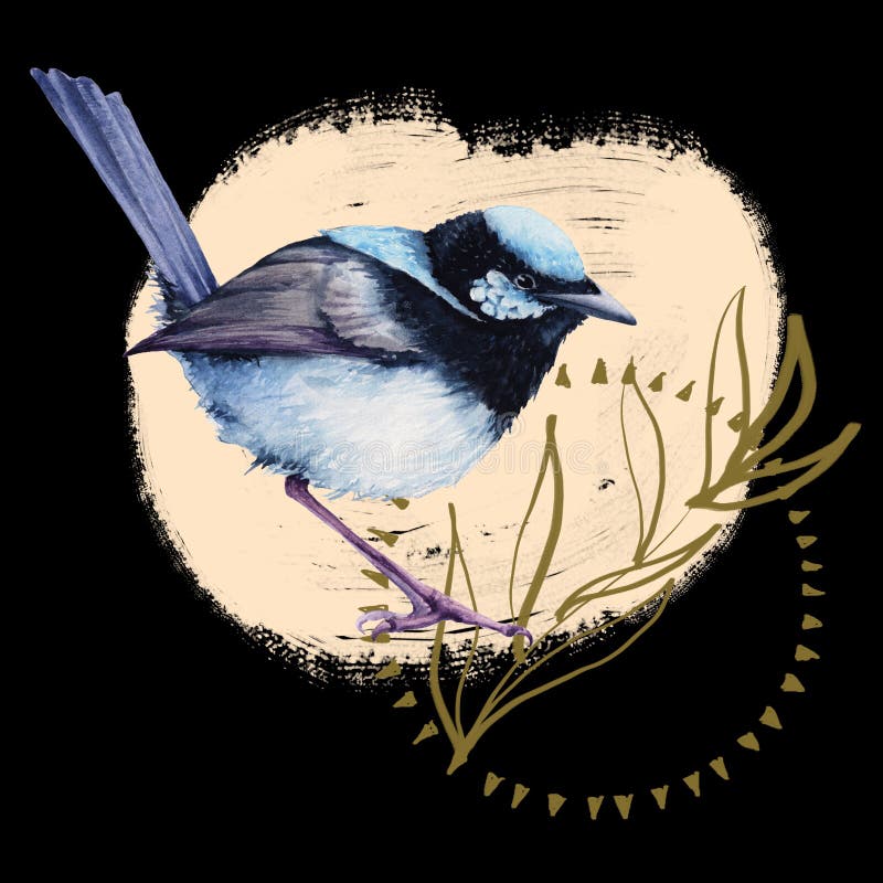 Australian Bird. Isolated on a White Background Stock Image - Image of ...