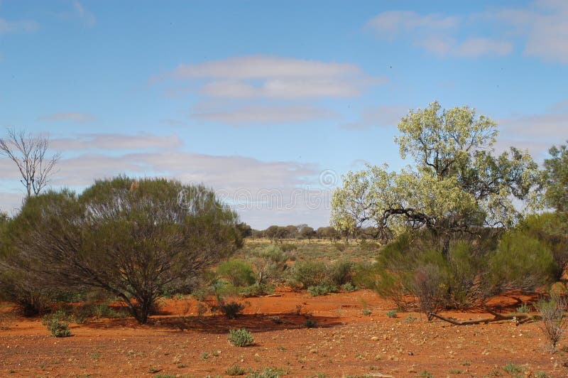 Australian Outback Dry Drought Summer Track Stock Photo - Image of ...