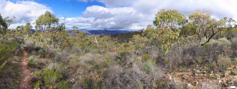 Australian Bush stock photo. Image of holiday, mountain - 6174182