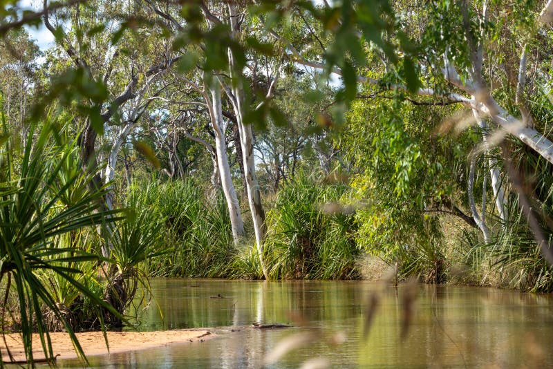 Australian Bush and River Scene. Stock Photo - Image of bush, travel ...