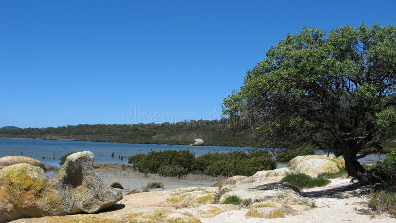 Sandy Beach - Botany Bay, Sydney, Australia Stock Image - Image of ...
