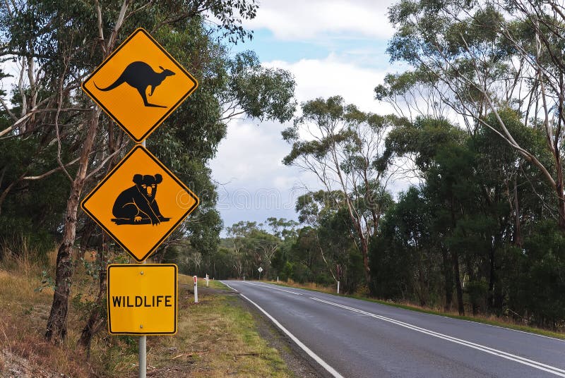 Australian Road Signs Collection Stock Photo - Image of koala, outback ...