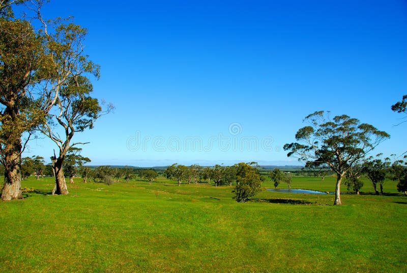 Australian countryside. stock photo. Image of landscape - 7827748