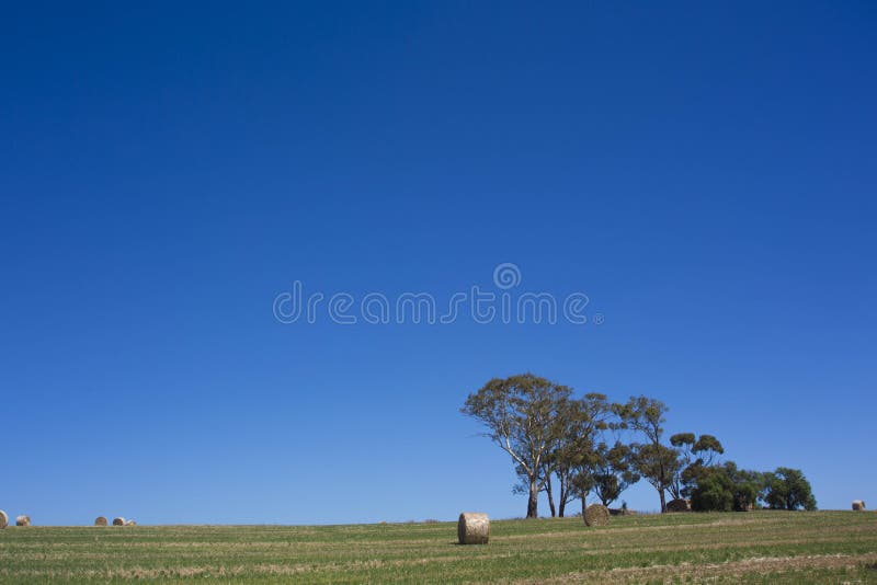 Australian countryside stock photo. Image of trees, south - 62242946