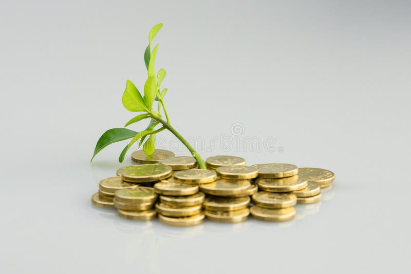 Australian currency stock photo. Image of cash, trading - 38815186