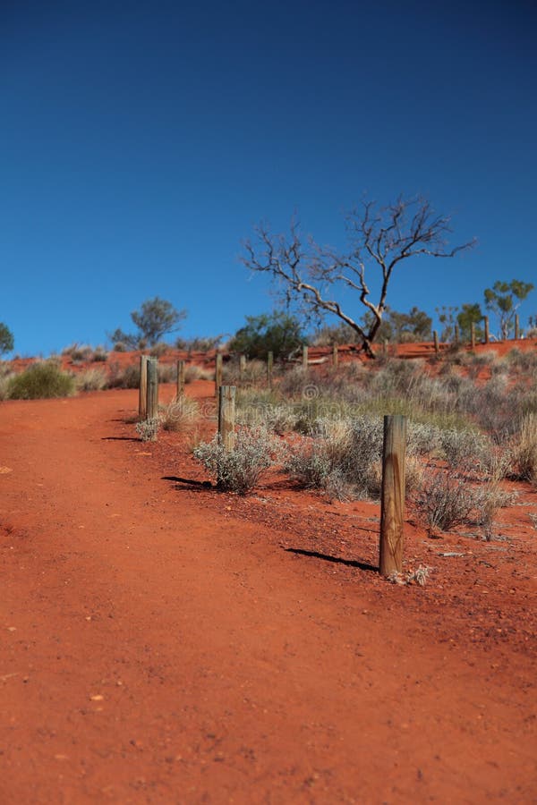 Australian desert stock photo. Image of vertical, path - 15623512